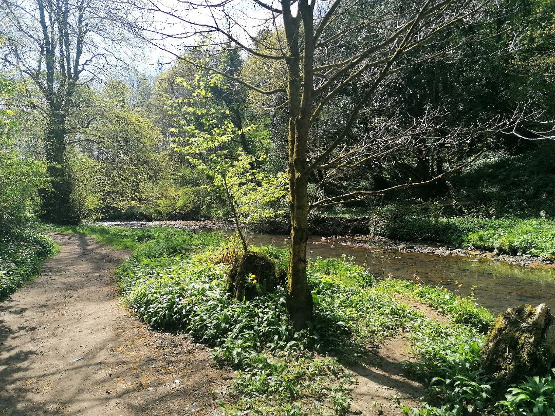 Daisy Nook Country Park – Tali walks